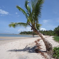 Praia dos Castelhanos - Boipeba - Passeios.org
