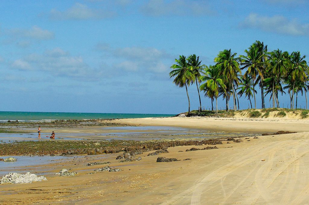 Maracajaú, um paraíso no litoral do Rio Grande do Norte
