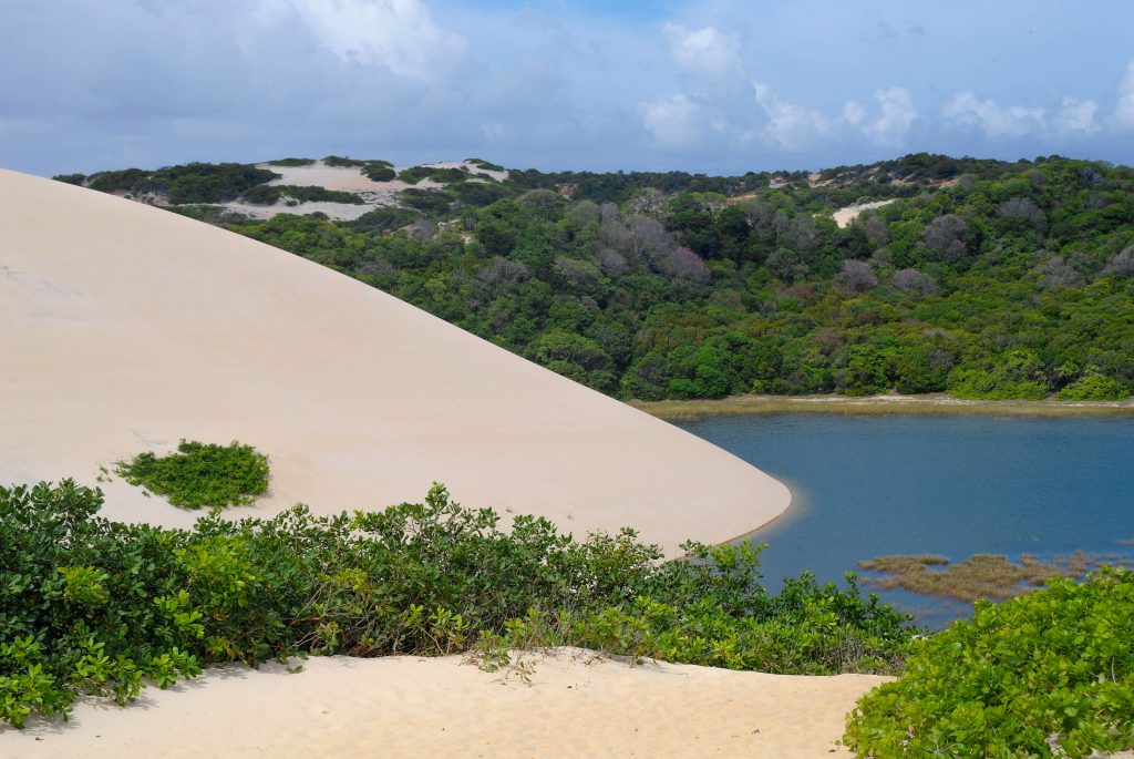 Praia de Genipabu, uma das mais belas e conhecidas do litoral de Natal ...