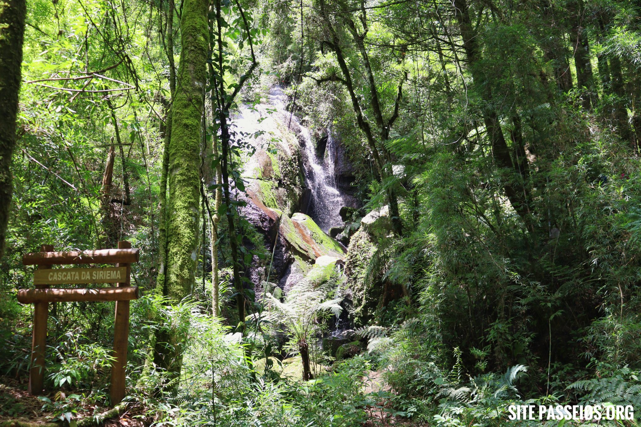 Parque Oschin, uma das mais belas atrações de Monte Verde