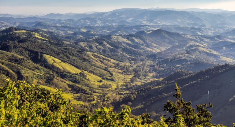 Parque Bambuí em Campos do Jordão: a nova atração natural de São Paulo ...