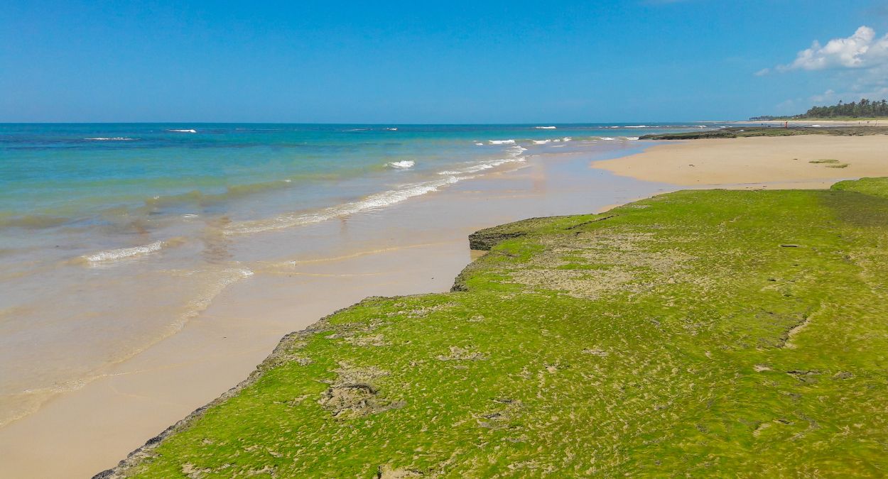 O que fazer em Dunas de Marapé?
