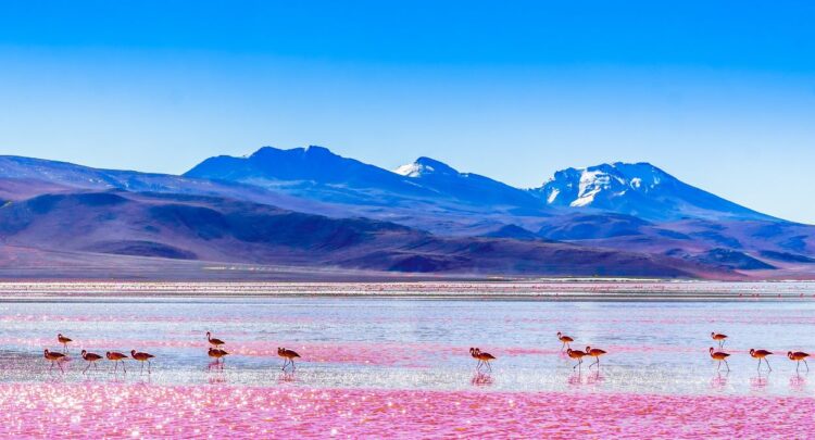 10 Curiosidades sobre a Bolívia que você precisa conhecer