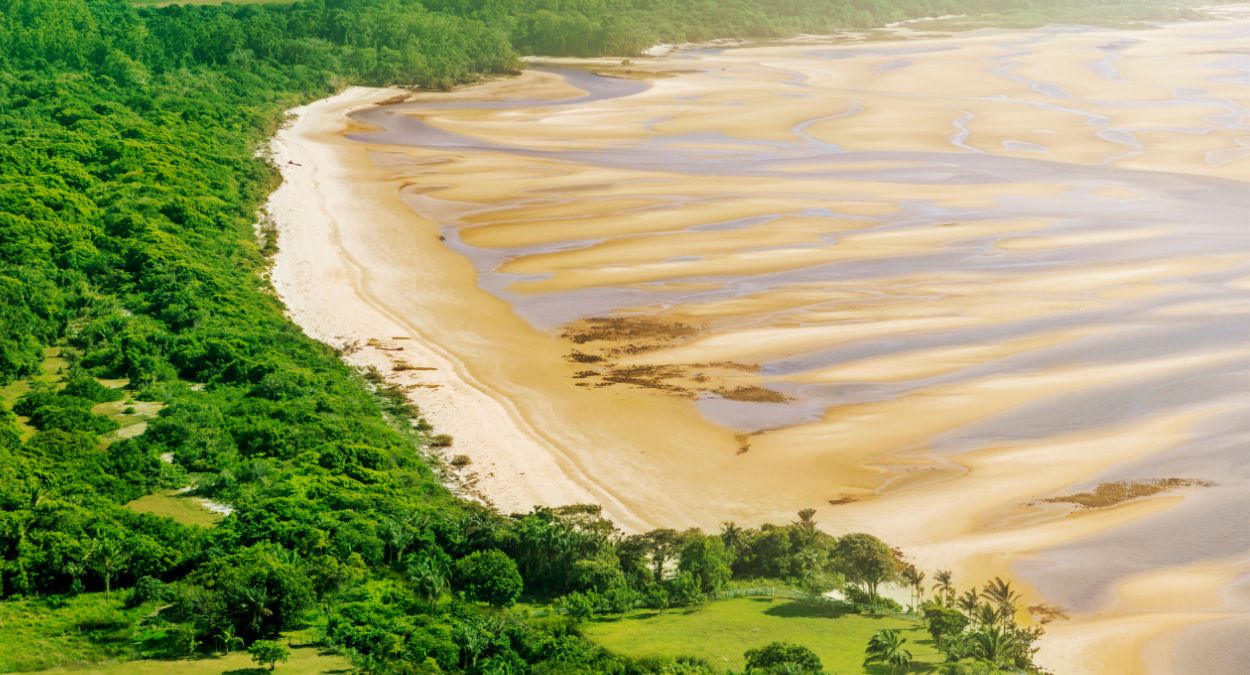 10 Curiosidades sobre a Ilha de Marajó para você se encantar