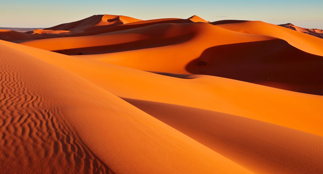 15 Curiosidades sobre o Deserto do Saara que irão te surpreender